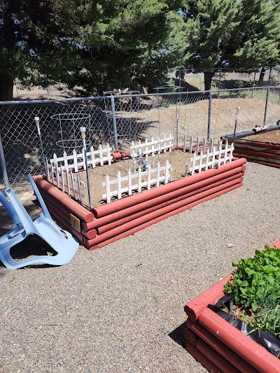 Orchard Ranch Resort - Main Court