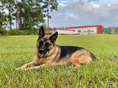 iG Center - Main Court