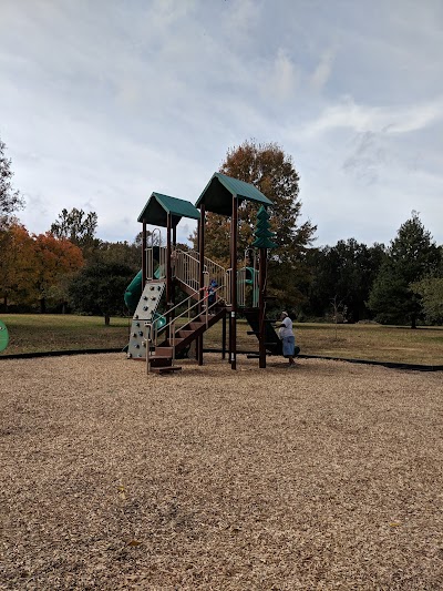 Richmond Playground - Main Court